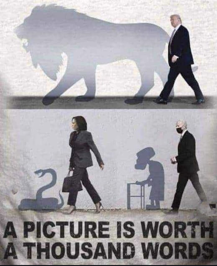 ...looks about right - 9GAG