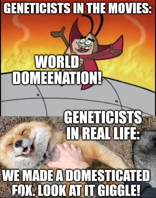 Who's a good boi? - 9GAG