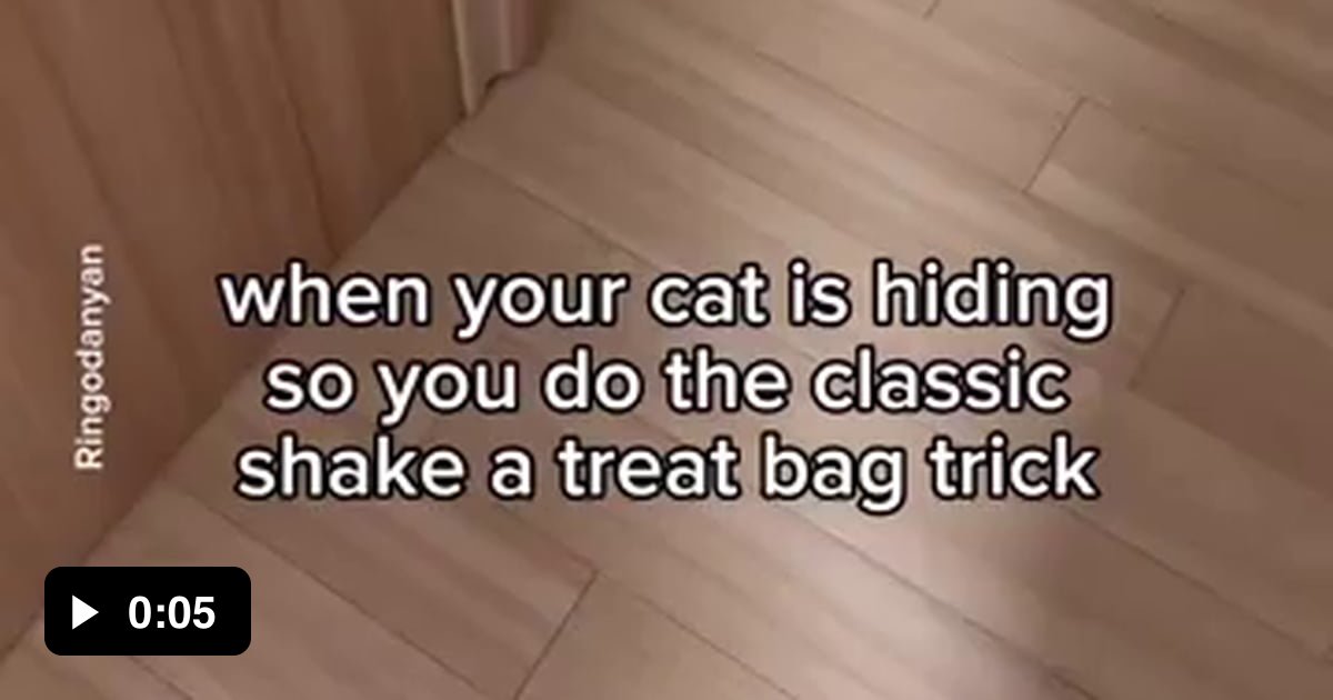 Best way to summon your cat - 9GAG