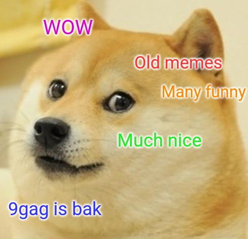Remember the dawg - 9GAG