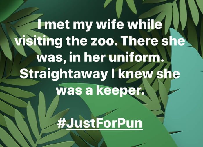 Illegal night pun - 9GAG