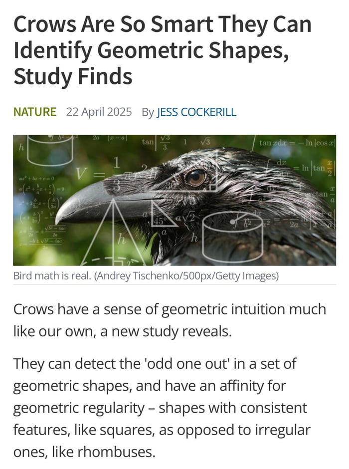 I’ve given you a very clear metric of your worth, Two Crows - 9GAG