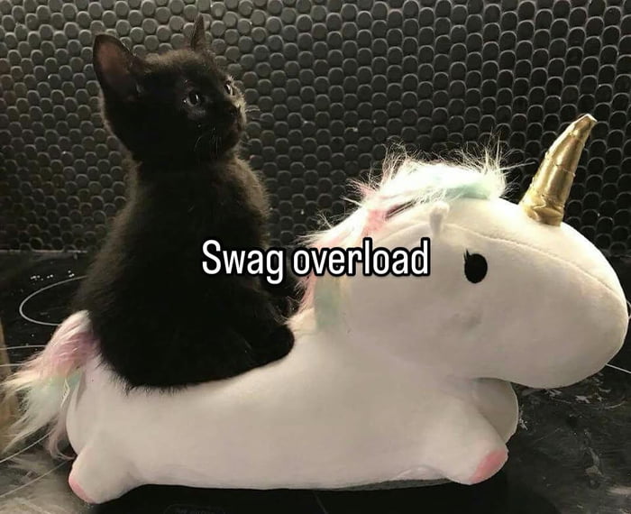 Swag overload - 9GAG