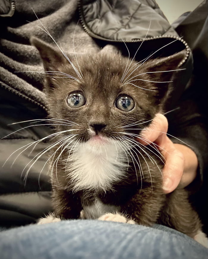 We should probably stop letting Abe watch the news - 9GAG