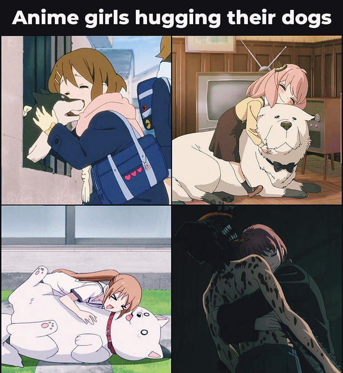 Dogs are so cute - 9GAG