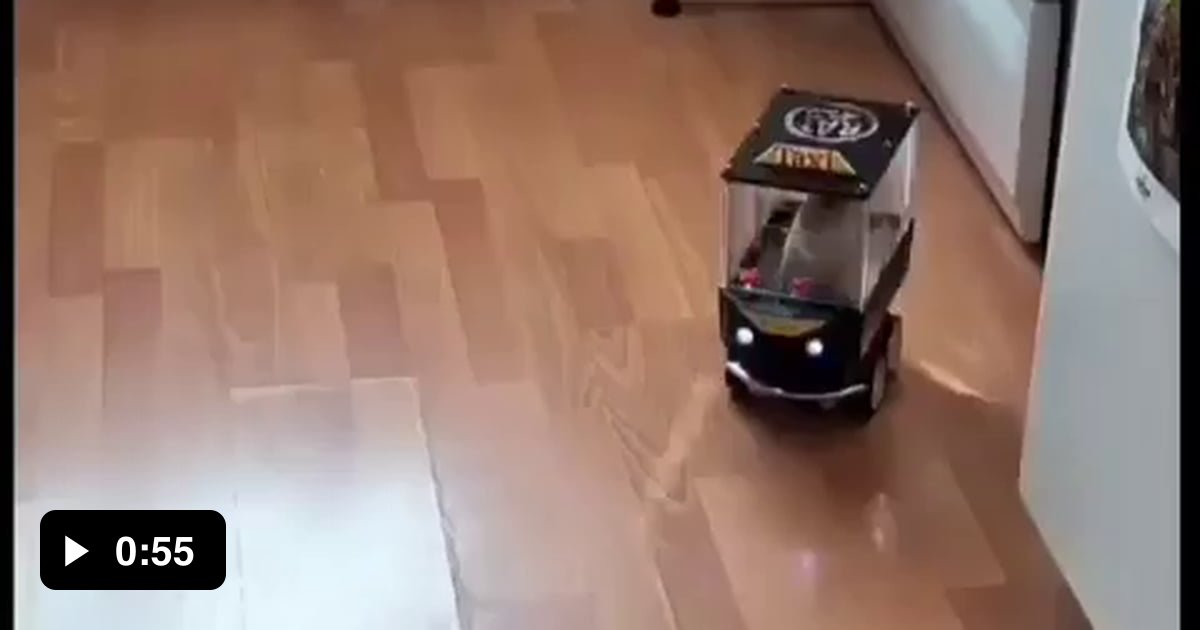 This rat has learned how to drive and is now taking on the hardest ...