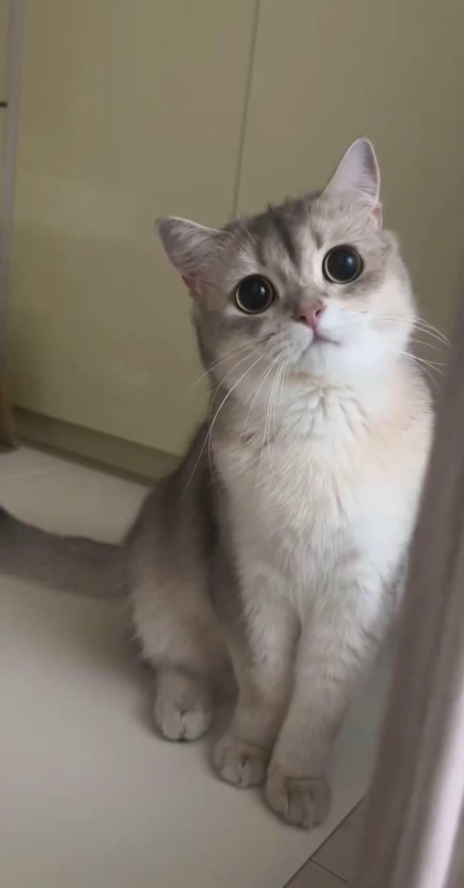 Eyes Chico 9gag 3725