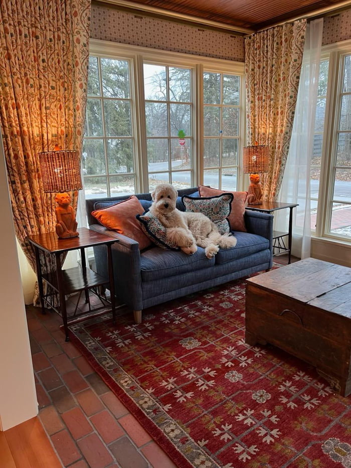 Pupper made herself right at home in the new sunroom - 9GAG