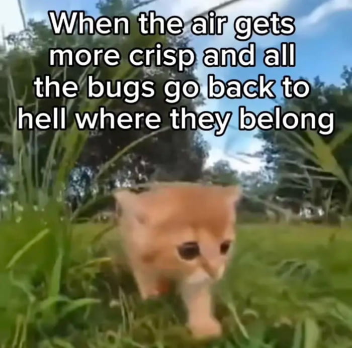 When he launches Cyclonic Torpedoes on a Tyranid infested world