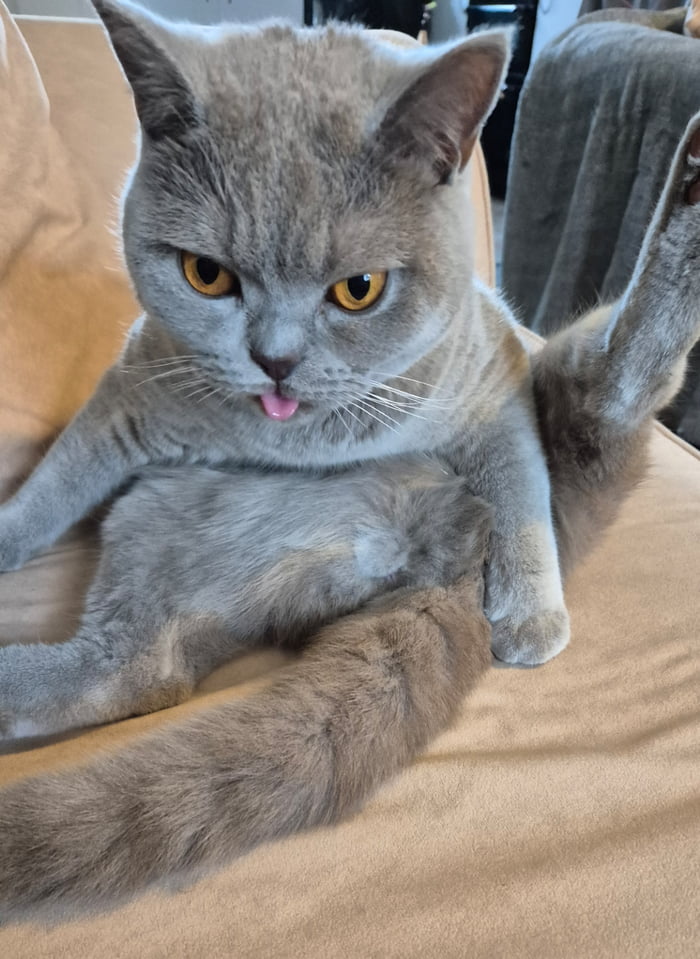 Absolute stinker - 9GAG