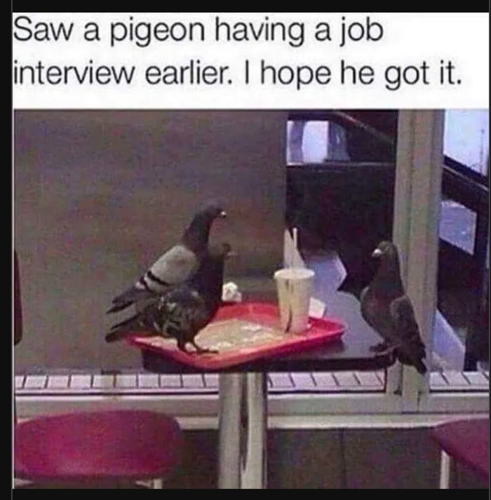 Fly high walter, fly high! - 9GAG