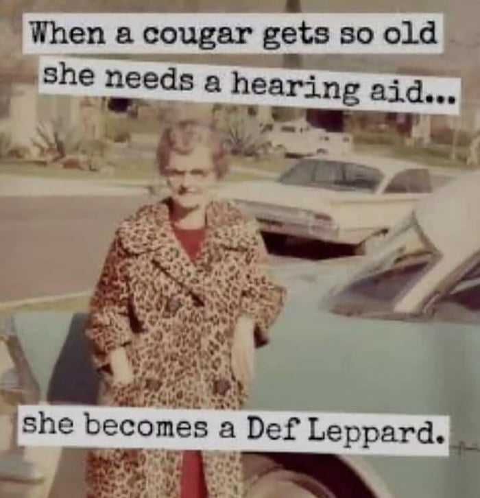 When a cougar needs a hearing aid, she becomes a Def Leppard. This pun ...