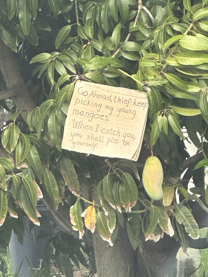 This sign is a hilarious and very specific warning to anyone thinking ...