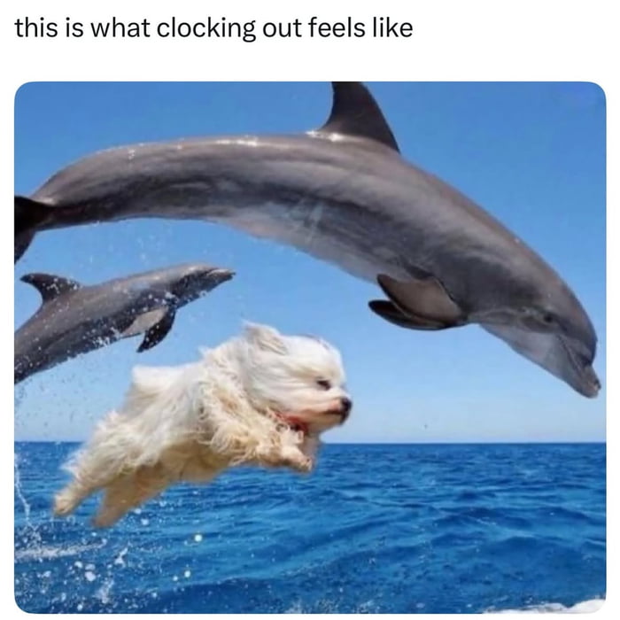 That feeling when the workday is officially over. - 9GAG