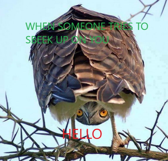 Almost Weekend - 9GAG