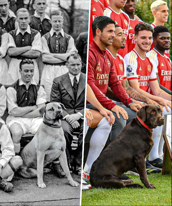 Arsenal with their mascot dog 1936, 2023 - 9GAG