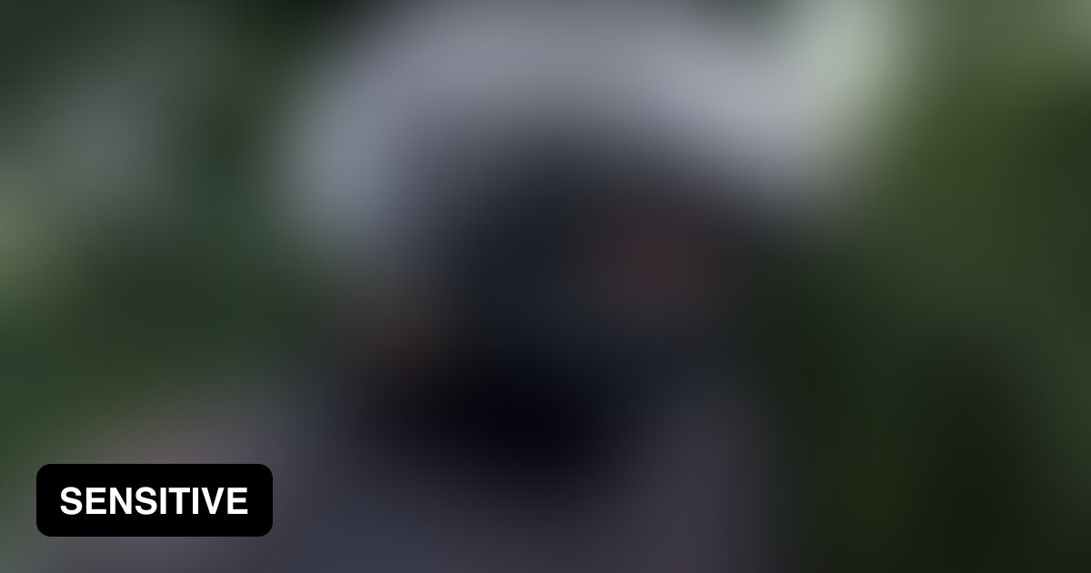 And the darwin awards goes to... - 9GAG