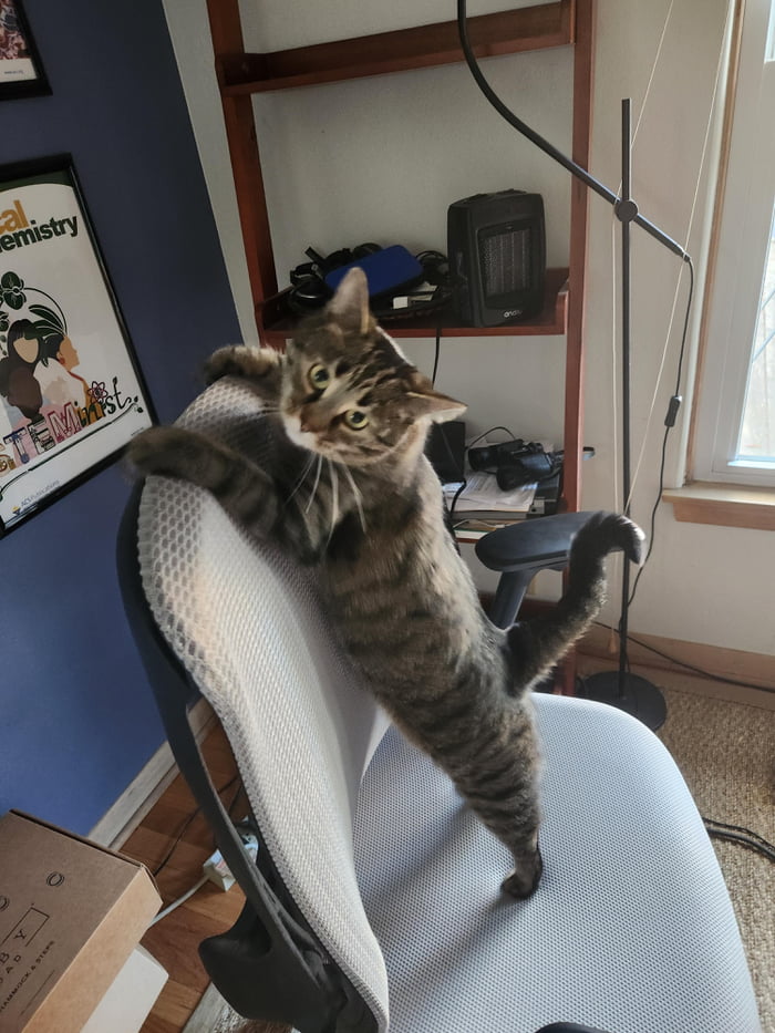 Office Worker - 9GAG