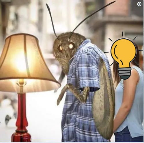 Lamp!!! - 9GAG