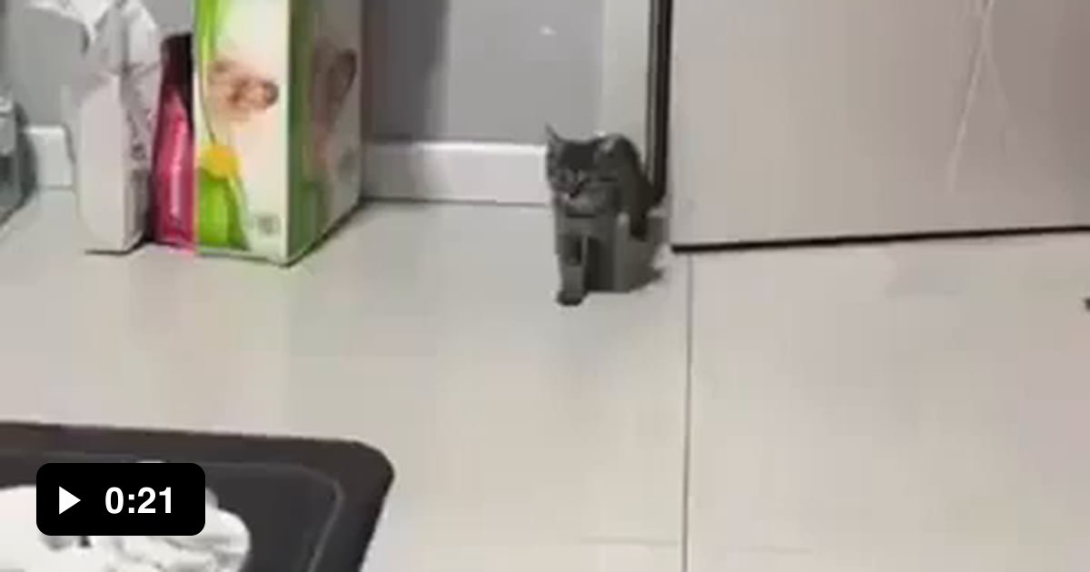 Wrong operating system. - 9GAG