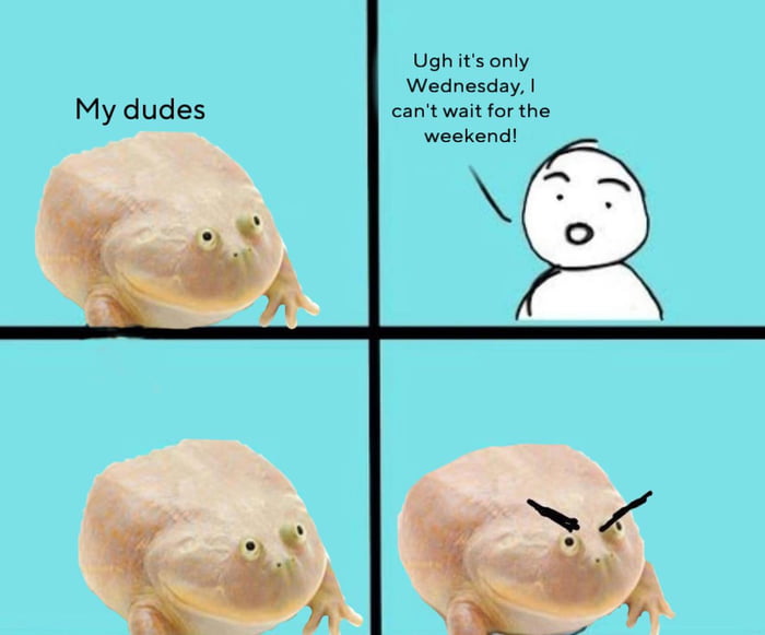 My dudes - 9GAG