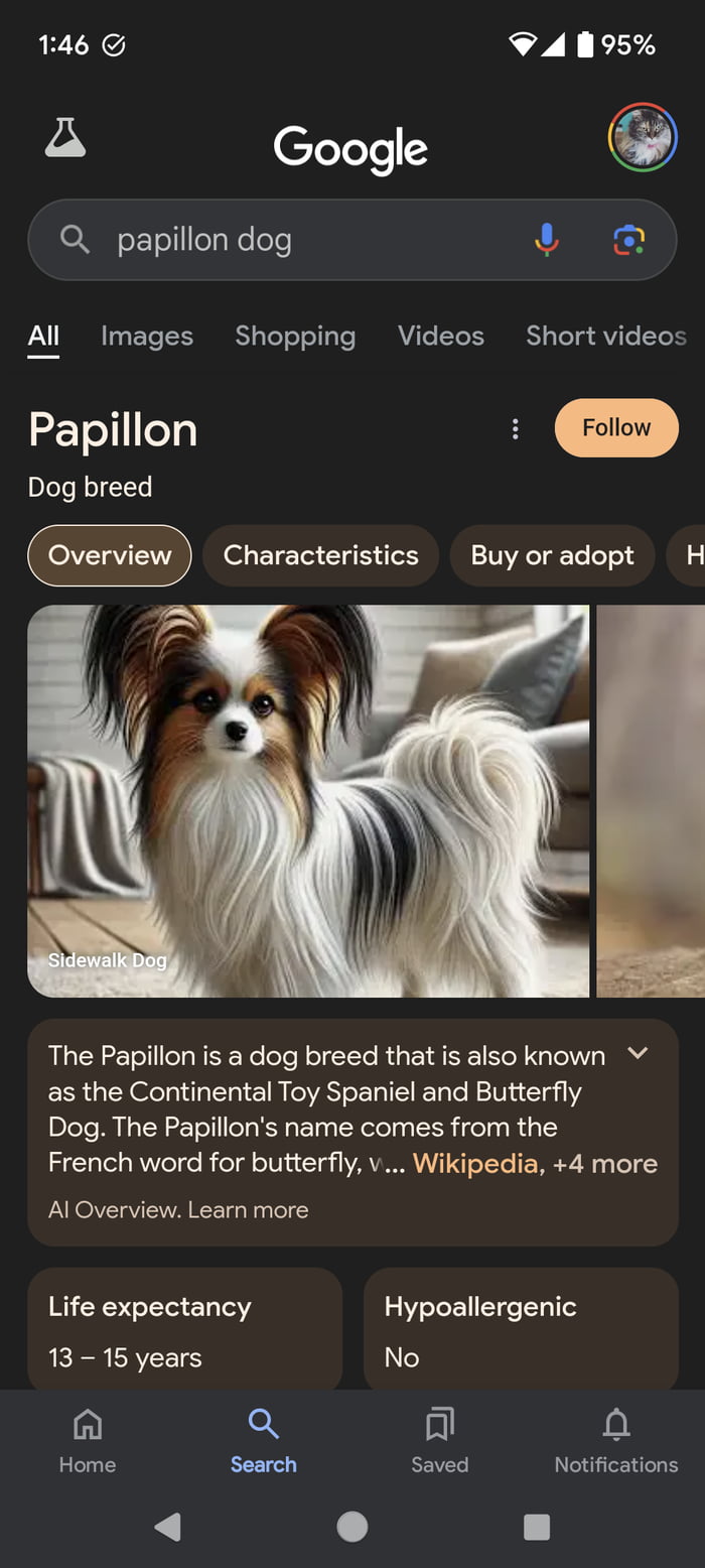 The first image when googling a dog breed being AI - 9GAG