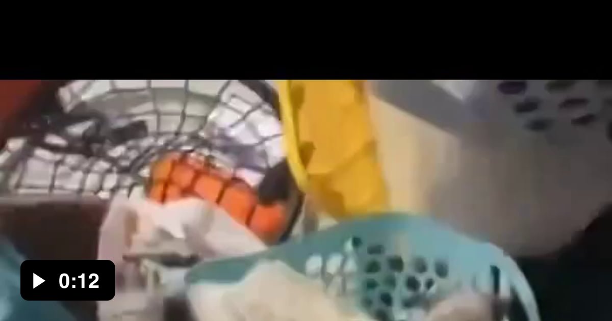 We all make mistakes in the heat of passion, Jimbo - 9GAG