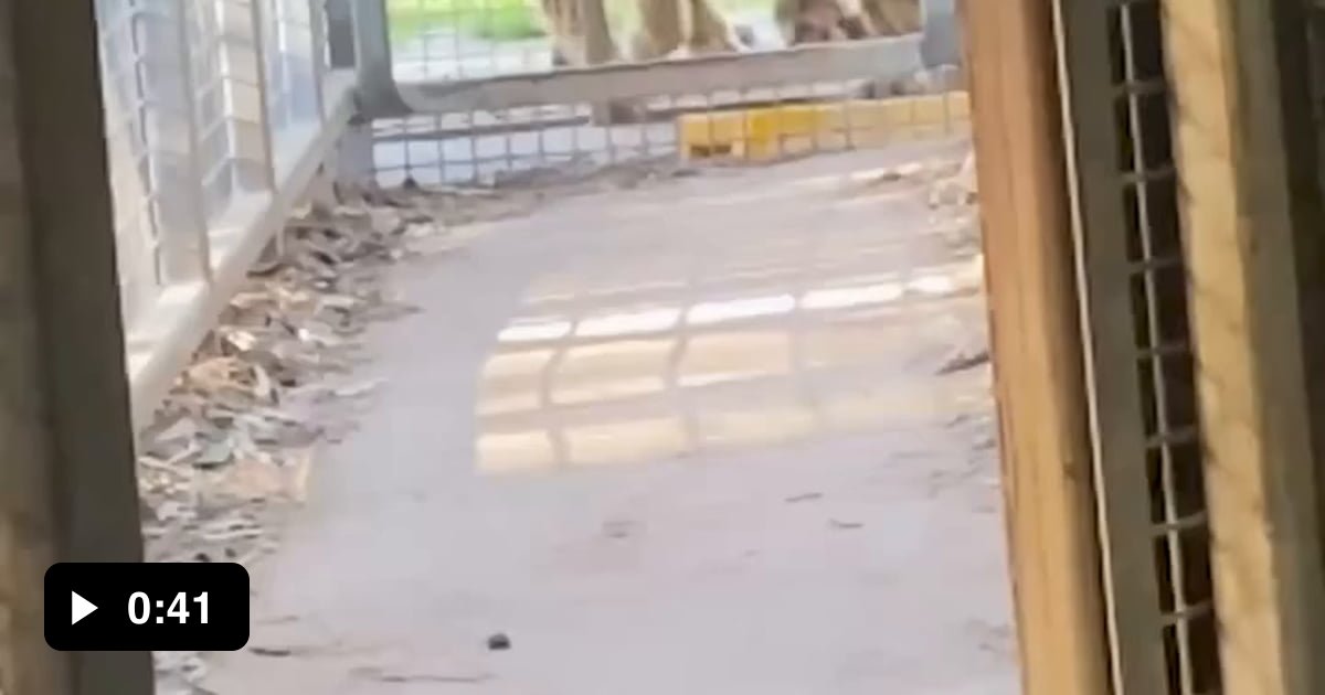 Coming to hug you - 9GAG