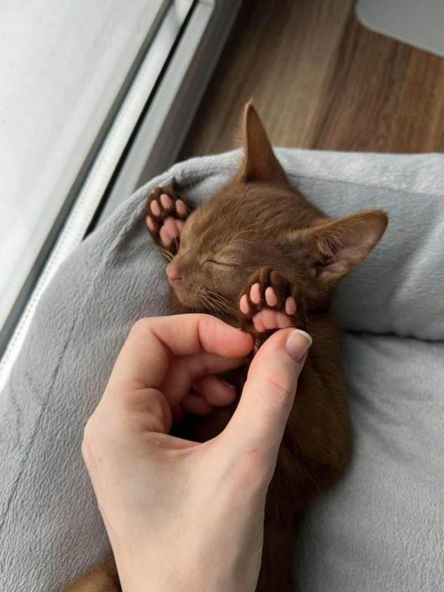 She is so small - 9GAG