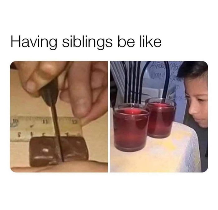 Sibling sharing requires scientific precision. - 9GAG