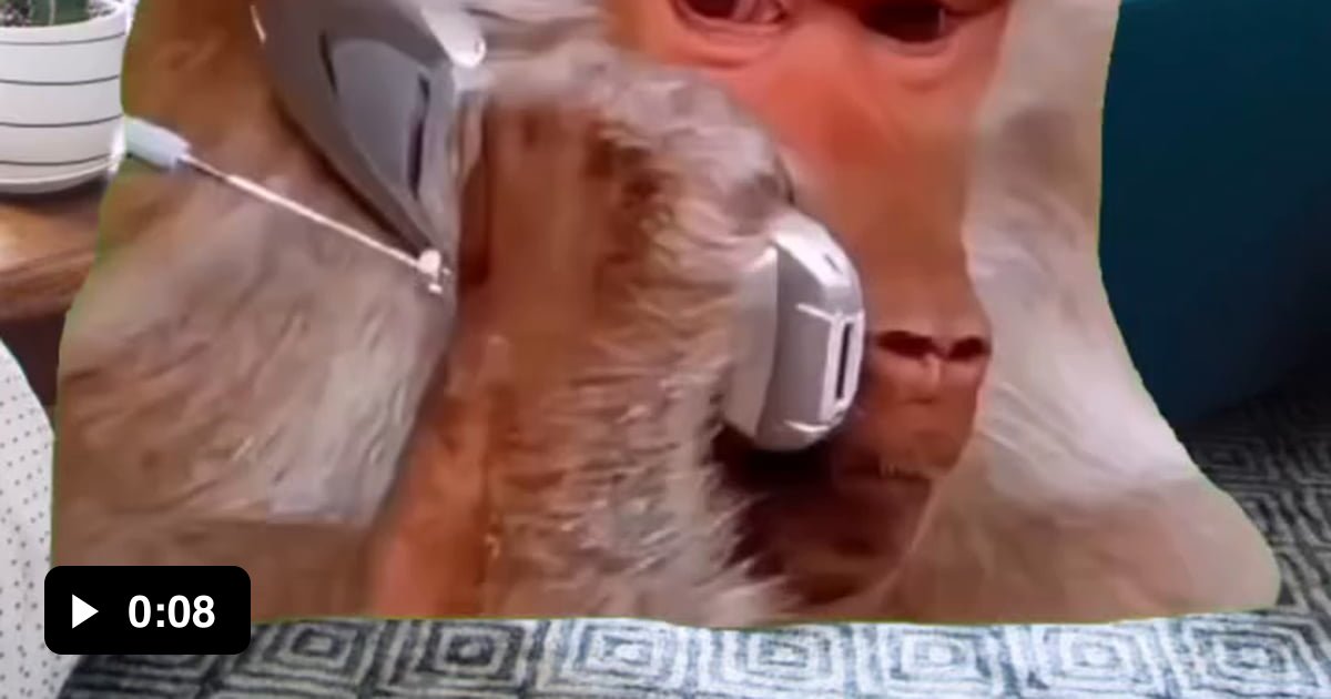 Adulting is just calling mom with extra steps - 9GAG