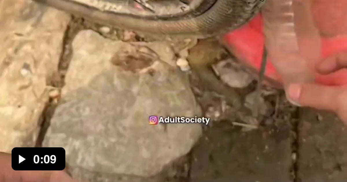 Security pro max - 9GAG