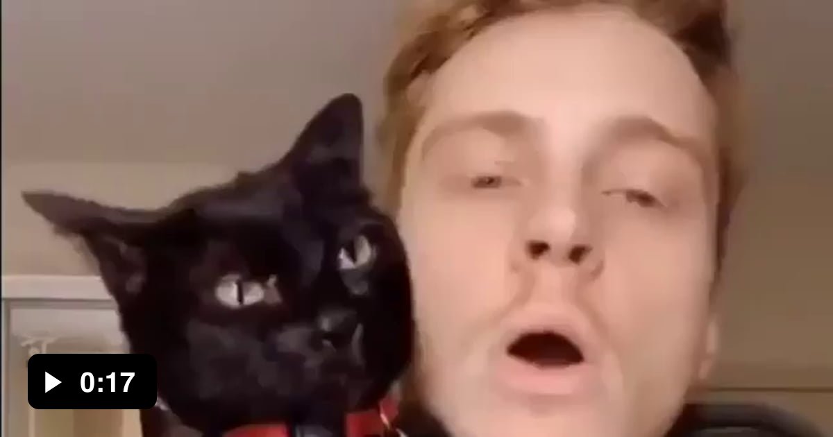 Lady meow-meow.. - 9GAG