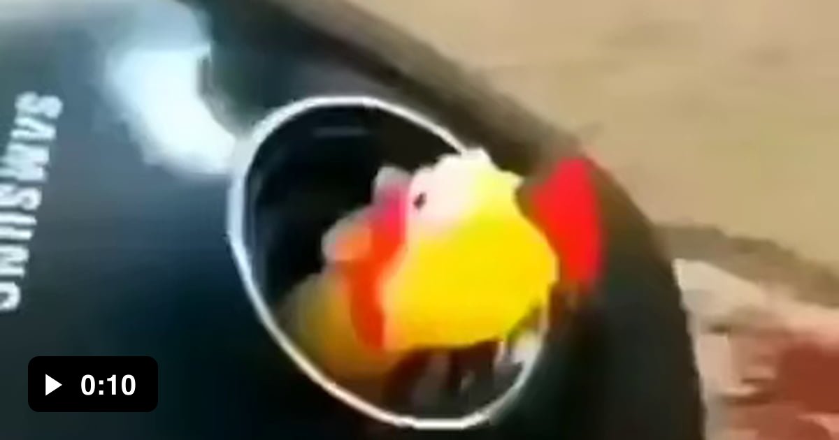 Wow celine dion deteriorated fast - 9GAG