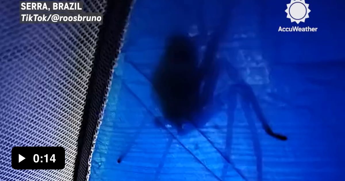 Bug spray? You’re gonna need an exorcist. 🕷️ FridayThe13th - 9GAG