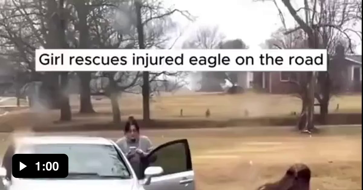 Eagle rescue - 9GAG