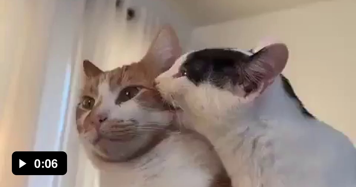 "You said just a nibble" - 9GAG