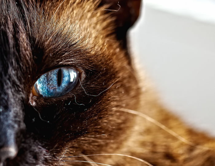 Hard to say goodbye after 20 years. Thanks for choosing us. Go and chase the rainbow - 9GAG