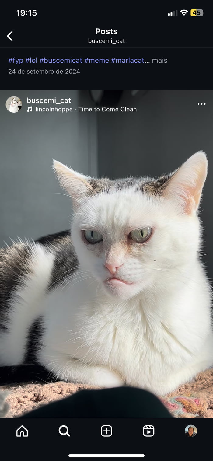 Buscemi cat - 9GAG