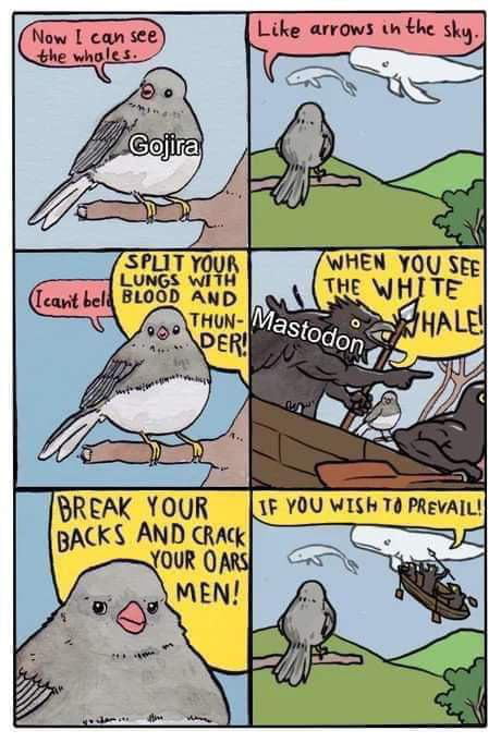 For I see them all the ways in flight - 9GAG