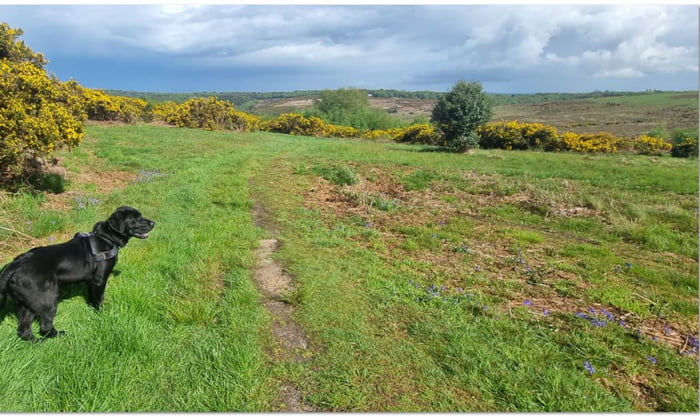 I've been gone a few days.. what's all this with landscapes and BBQ ...