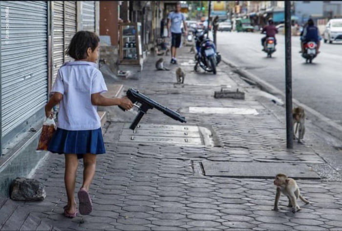A Thai girl brought an airsoft machine gun to defend herself from monkey attacks on her way home ...