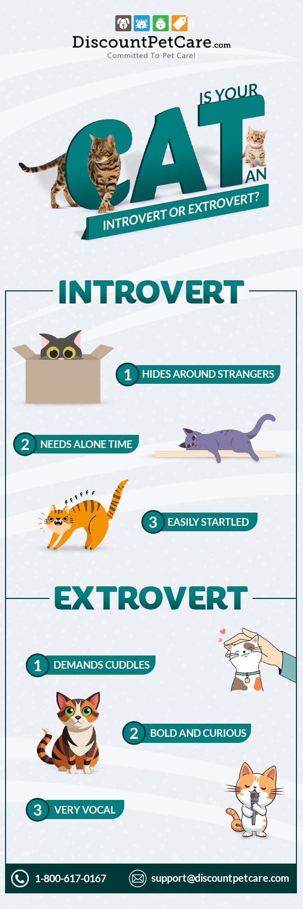 Is your cat introvert or extrovert? - 9GAG