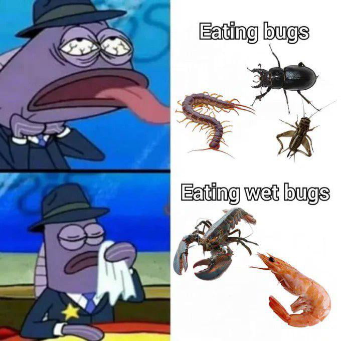 Do you love wet bugs? - 9GAG