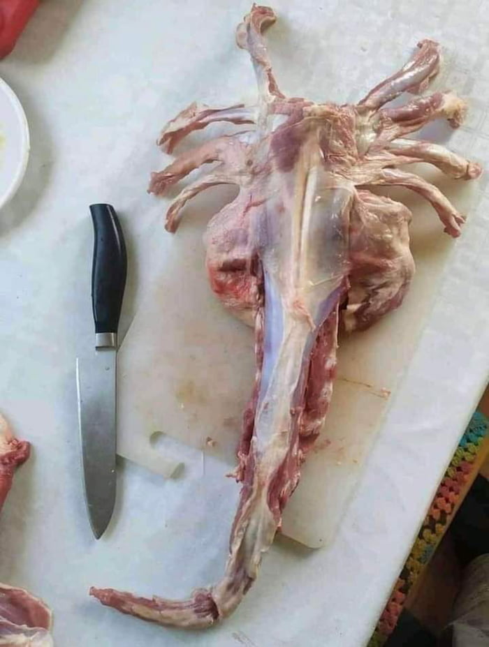 La pucha madre, volvio a subir el kilo de xenomorfo. - 9GAG