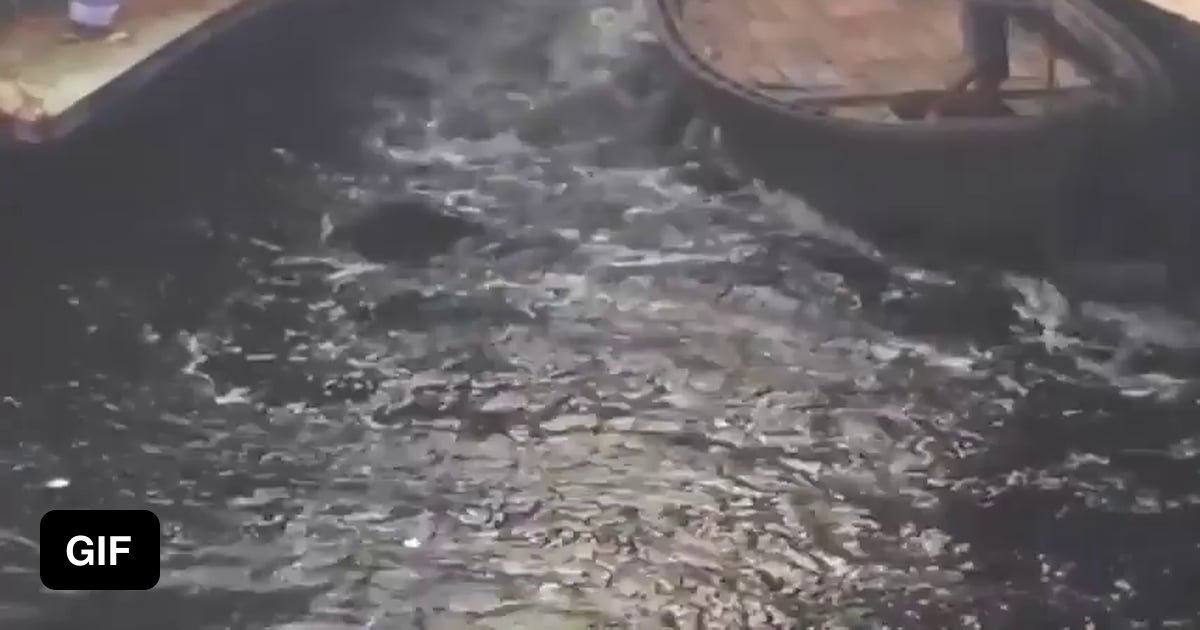 Trying to save their boat from being crushed - 9GAG