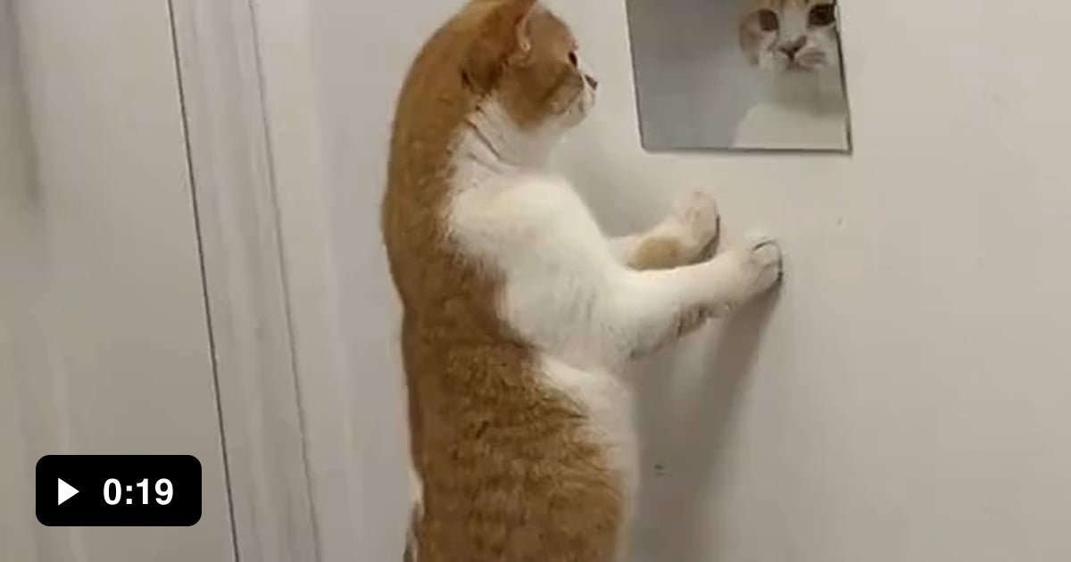 Practice speaking in front of a mirror to boost your self-confidence. - 9GAG