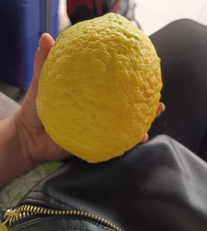 Of a lemon - 9GAG
