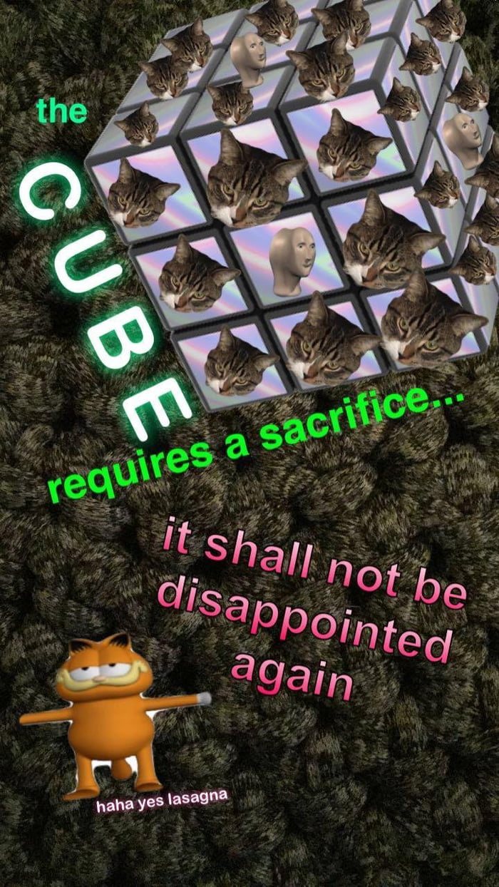 Cute cube. Yet it demands. - 9GAG