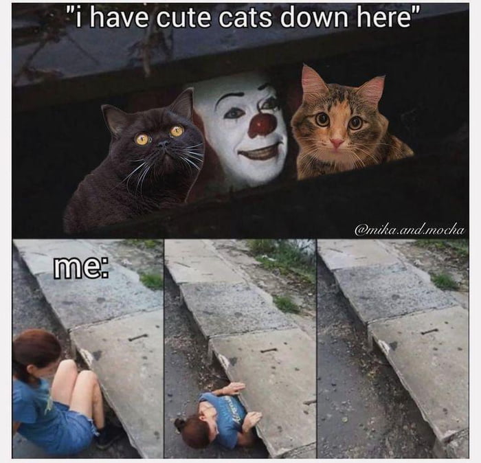 Me when someone says they have a cat - 9GAG